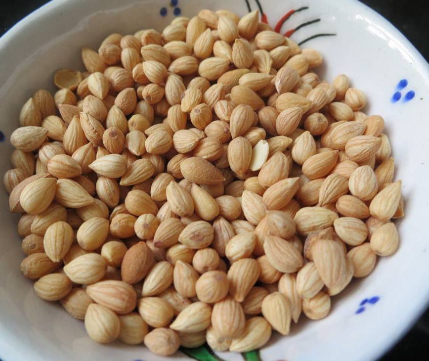 Mahlab — General Trading Services Center